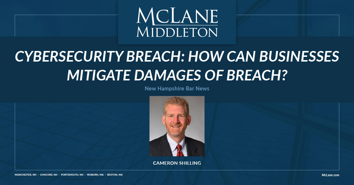 Cybersecurity Breach: How Can Businesses Mitigate Damages of Breach ...